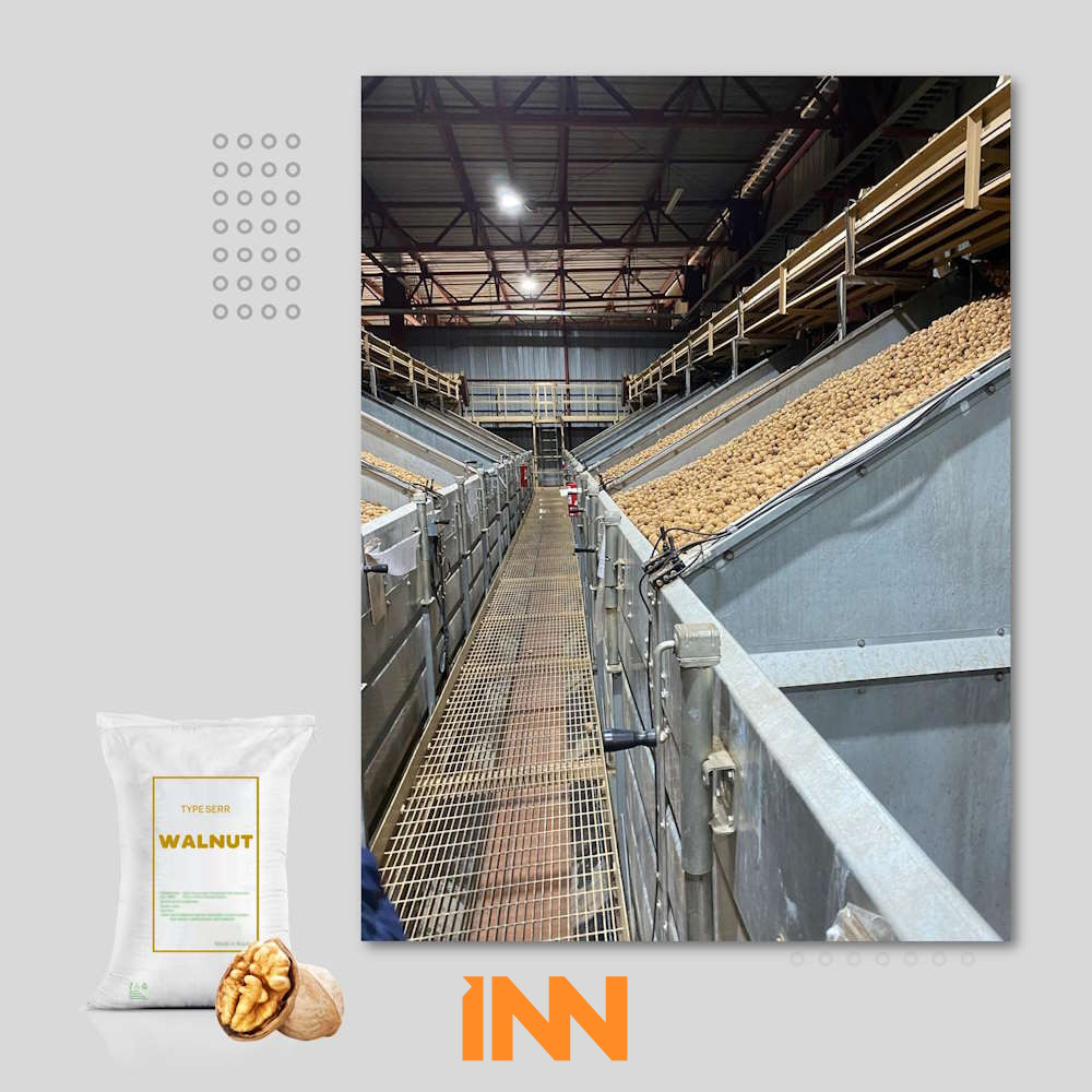 walnut, chile walnut, imported walnut, shelled walnut, serr walnut ...